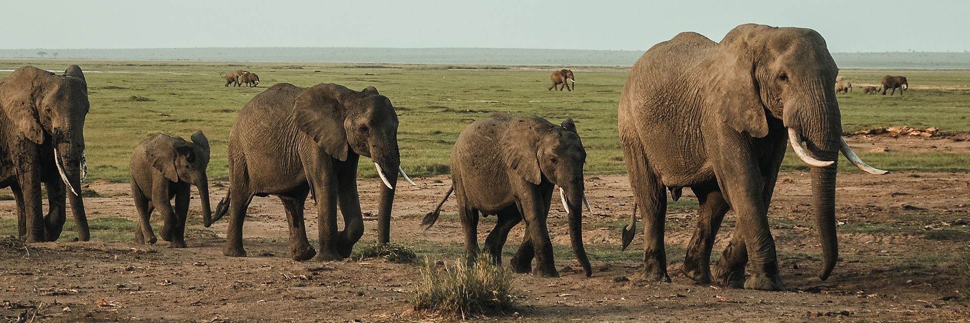 Acrisure se consolida com modelo diferenciado - Turbinar Insights